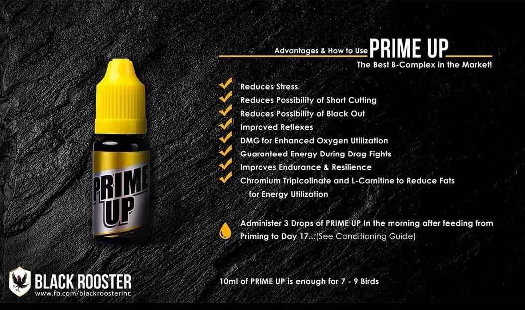 PRIME UP – Atlantic Coast Merchandising and Printing, LLC