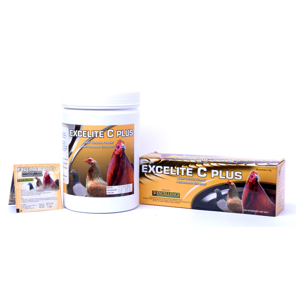 Excelite C Plus | Multivitamins + Electrolytes + Dextrose + Betaine ...
